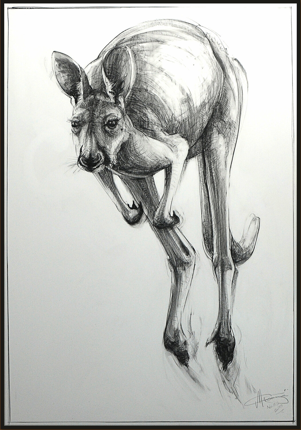 Portrait of Kangaroo No. 55 by Michael Chorney (2019) : Drawing Pencil ...