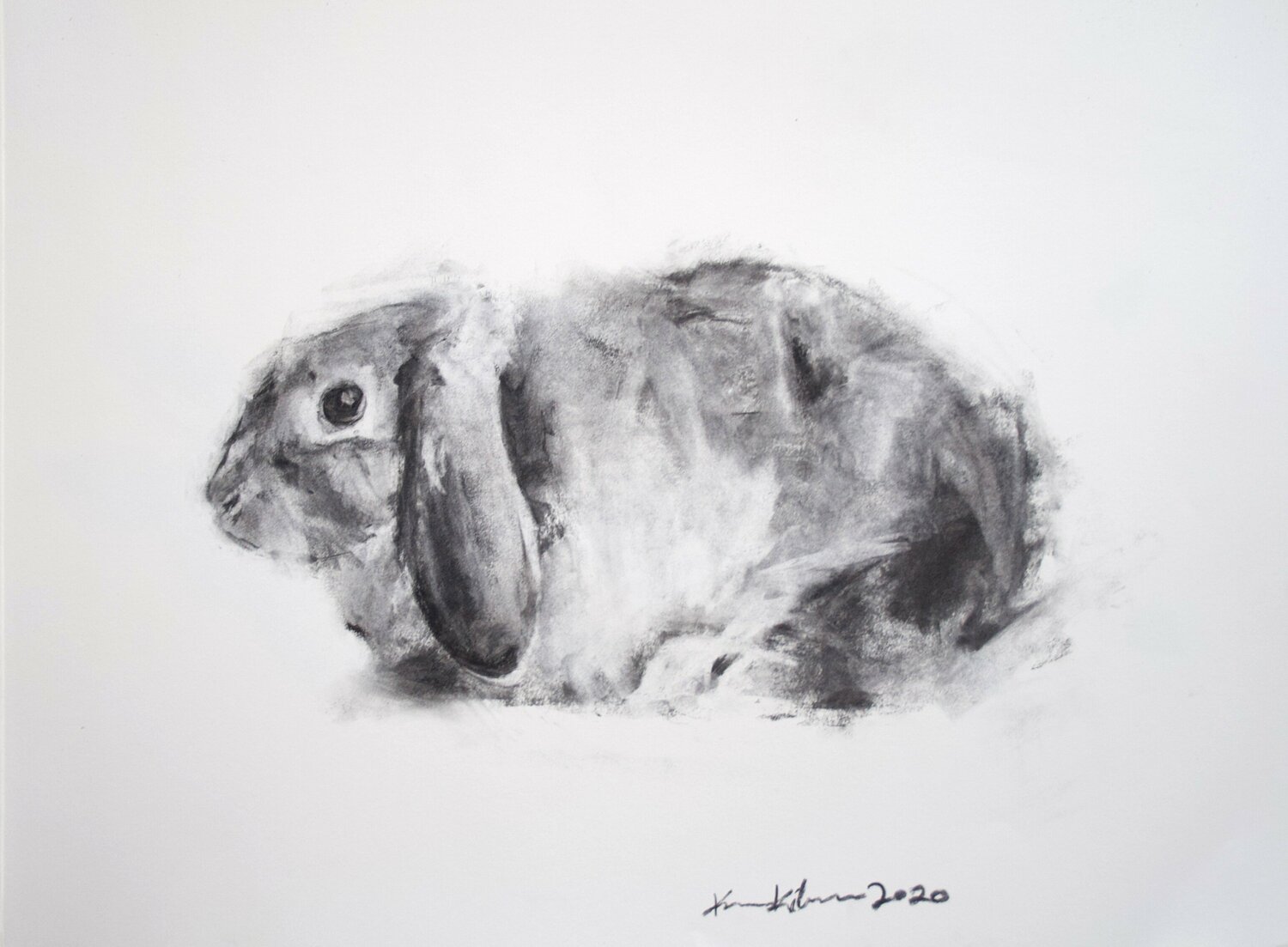 charcoal rabbit #5 by Kim Kimbro (2020) : Drawing Charcoal on Paper ...